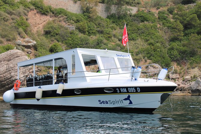 Exciting PADI Discover Scuba Diving Experience Isola Bella Marine Park Taormina - Highlights of the Diving Adventure