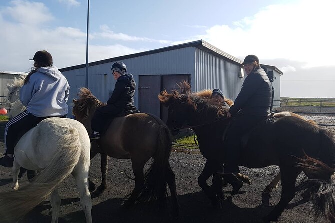Family Horse Riding Tour in Thorlakshofn - Whats Included in the Tour