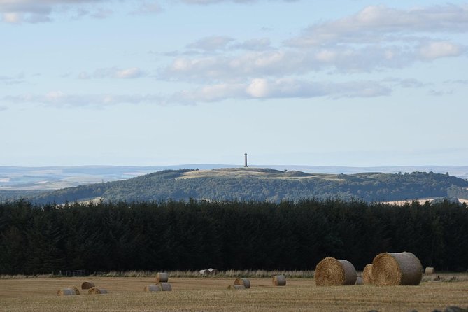 Farm Attraction - Highland Cows, Animal Feeding, Wholesome Fun! - Traveler Reviews and Recommendations