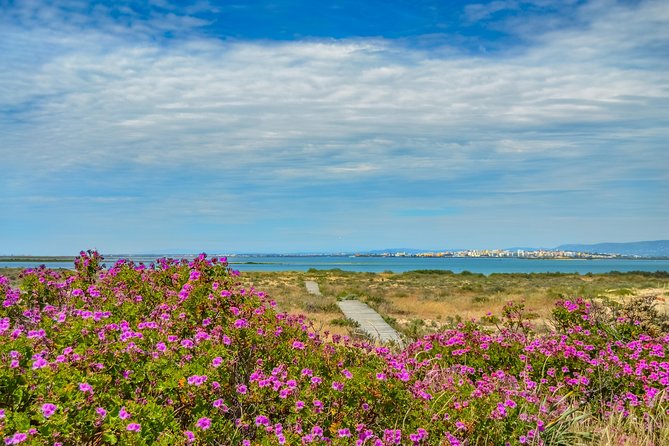 Ferry Trip From Faro to Ilha Deserta Review - Meeting and Transportation Details