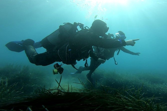 First Scuba Diving Experience in Malta Review - Discovering the Underwater Wonders