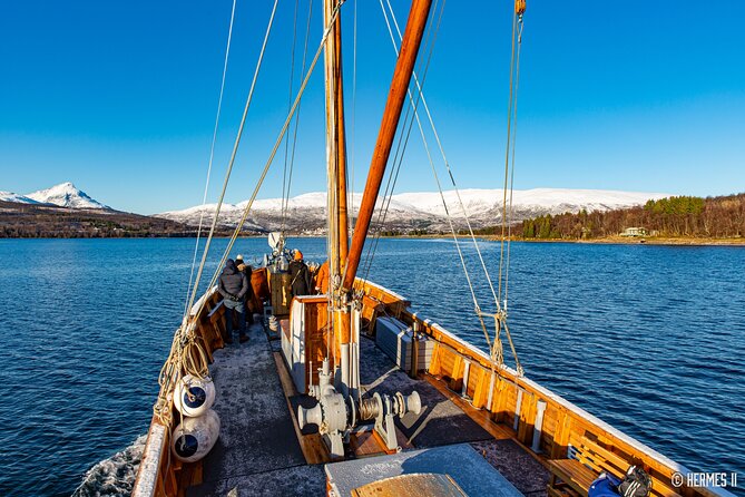 Fjord & History Cruise - Inclusions and Accessibility