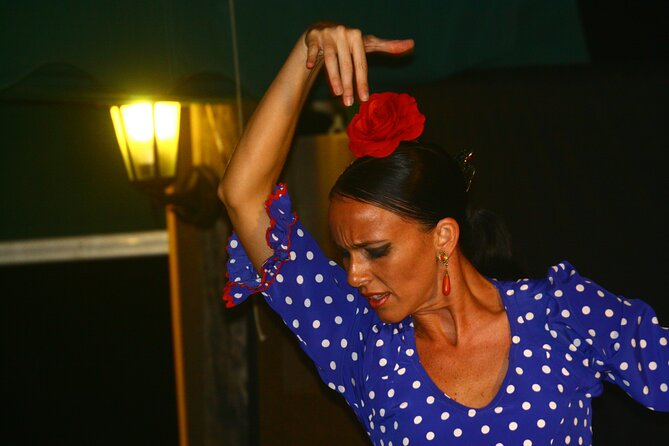 Flamenco and Grill Evening on the Banks of Lake Guadalmina - Beverages Included