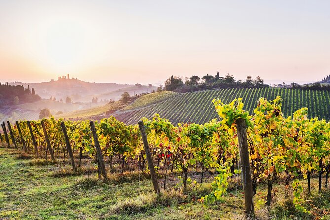 Florence: Siena & San Gimignano Daytrip With Lunch & Wine Tasting - Meeting and Logistics