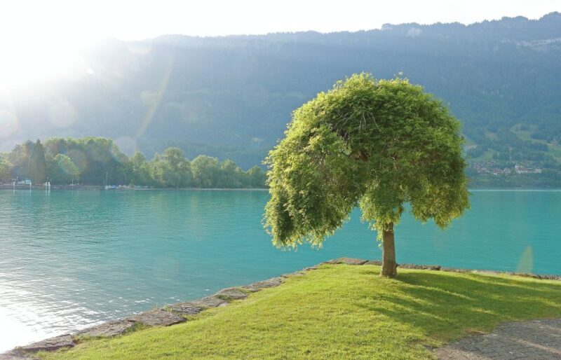 Free-Day in Interlaken Village From Lausanne - Journey Details