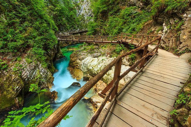 From Bled: Self-Guided E-Bike Tour to Vintgar Gorge - Inclusions and Requirements