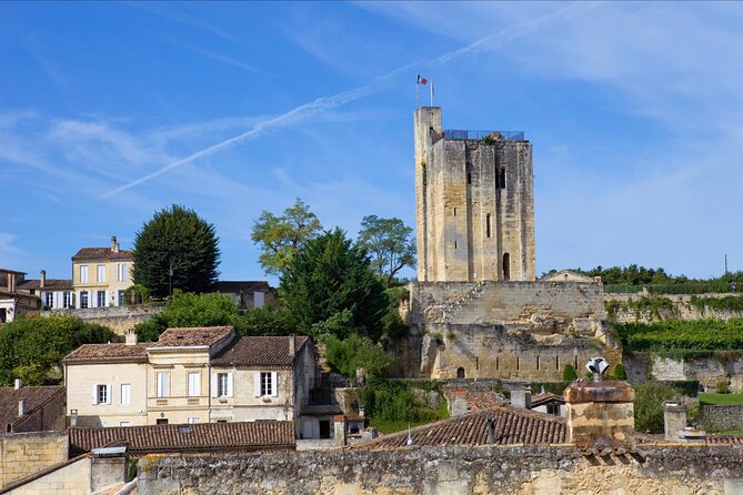 From Bordeaux: Saint-Émilion Half-Day Trip With Wine Tasting - Tour Experience and Highlights