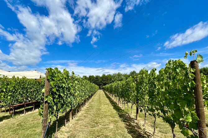 From Florence: Classic Chianti Villages and Wine Roads by Minivan - Greve in Chianti: The Heart of the Chianti Region
