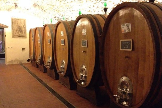 From Florence: Small-Group Tuscany Tour Review - Transportation and Amenities