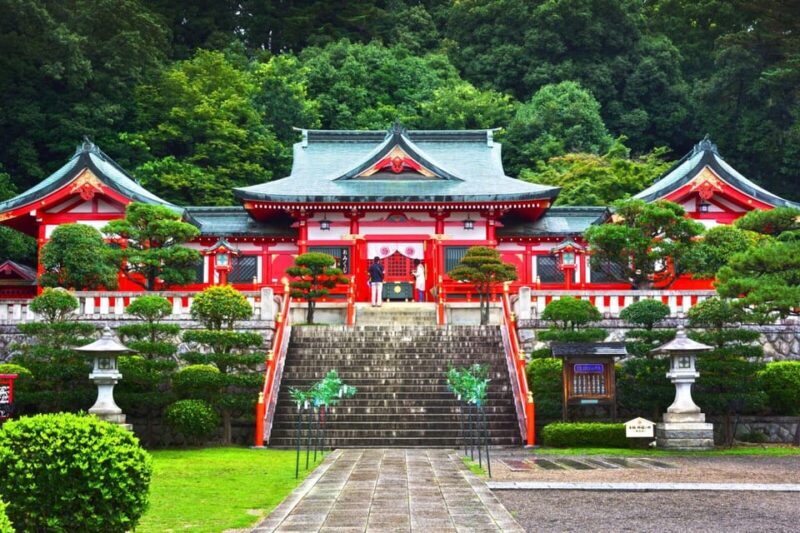 From Nagano and Karuizawa: Ashikaga Flower Park Colours - Transportation and Itinerary
