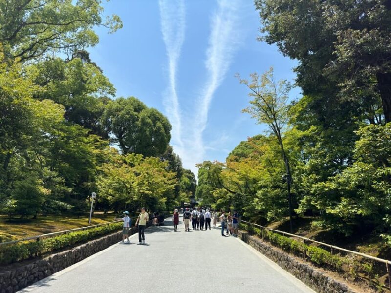 From Osaka: Kyoto Highlights One Day Private Tour - Customizable Itinerary and Highlights