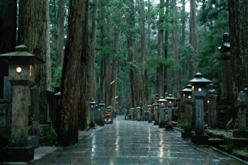 From Osaka/Kyoto:Mount Koya, Wakayama & Nachi Waterfall Trip - Itinerary Options