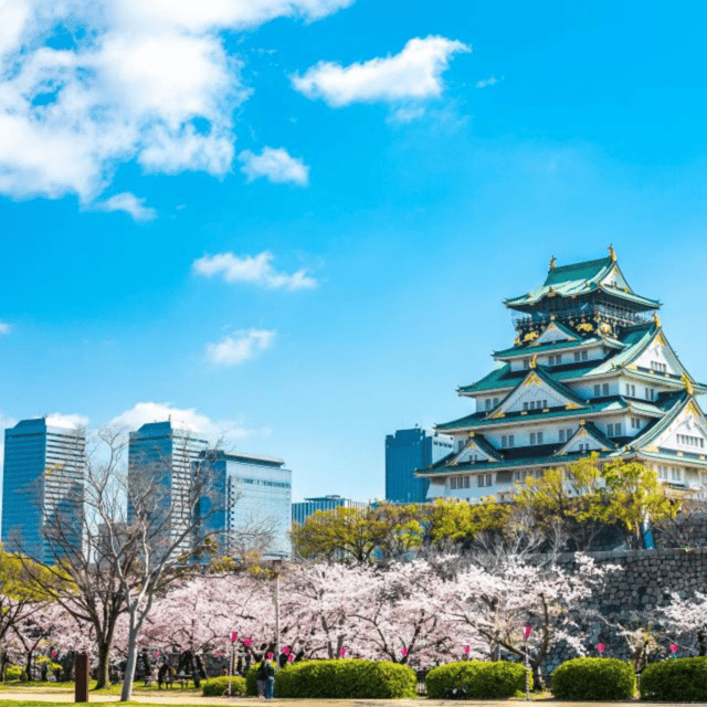 From Osaka: Private Customisable Osaka Full Day Tour By Car - Itinerary and Highlights