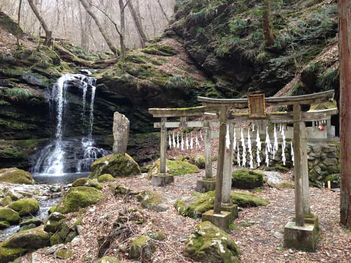 From Tokyo: Chichibu Hiking Day Tour To Mitsumine Shrine - Highlights and Activities
