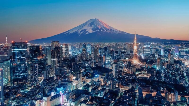 From Tokyo: Mount Fuji and Hakone Private Customize Tour - Traveler Information and Restrictions