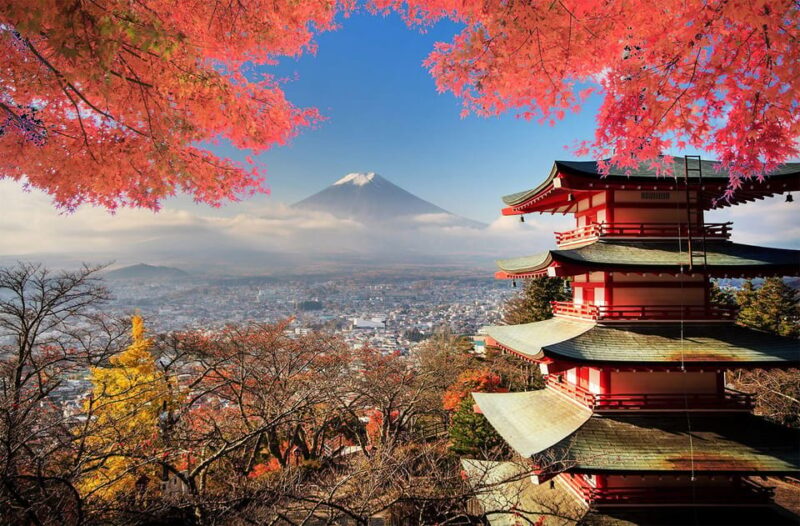 From Tokyo: Mount Fuji Private Day Tour With English Driver - Itinerary Highlights