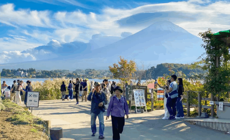 From Tokyo Mount Fuji Private Tour English Speaking Driver - Itinerary Highlights