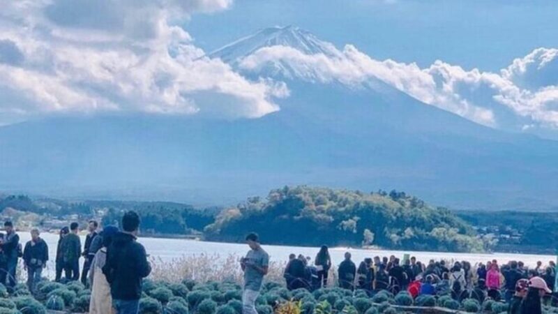 From Tokyo: Mt Fuji Private Day Tour In Land Cruiser ZX - Tour Inclusions and Exclusions