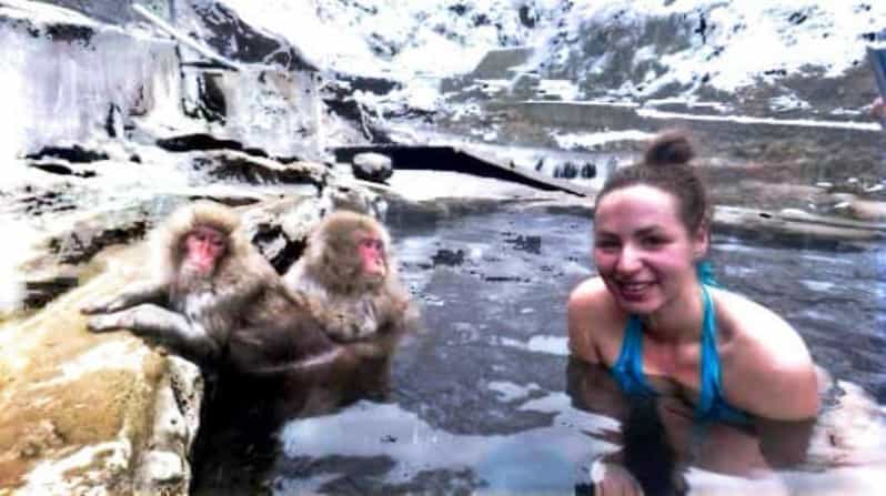 From Tokyo: Nagano Snow Monkey Park Full-Day Private Tour - Itinerary Highlights