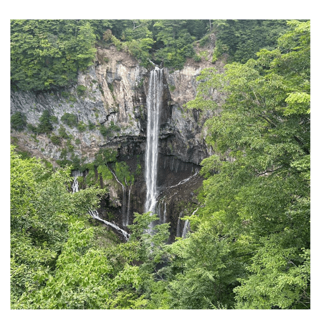 From Tokyo: Nikko Unesco Fully Customised Private Car Tour - Transportation and Accessibility