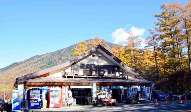 From Tokyo: Nikko UNESCO Shrine and Nature View 1-Day Tour - Nikko Toshogu Shrine