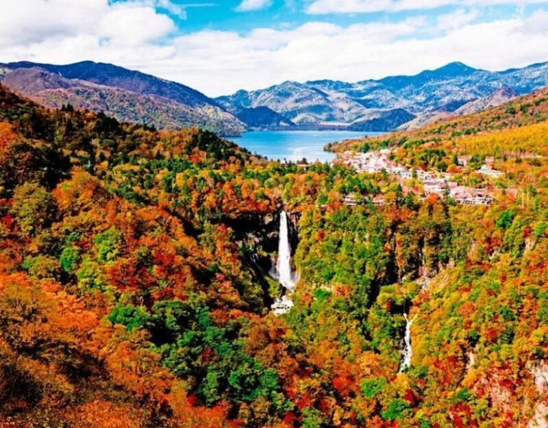 From Tokyo: Nikko World Heritage Sight Private Full Day Tour - Itinerary Highlights