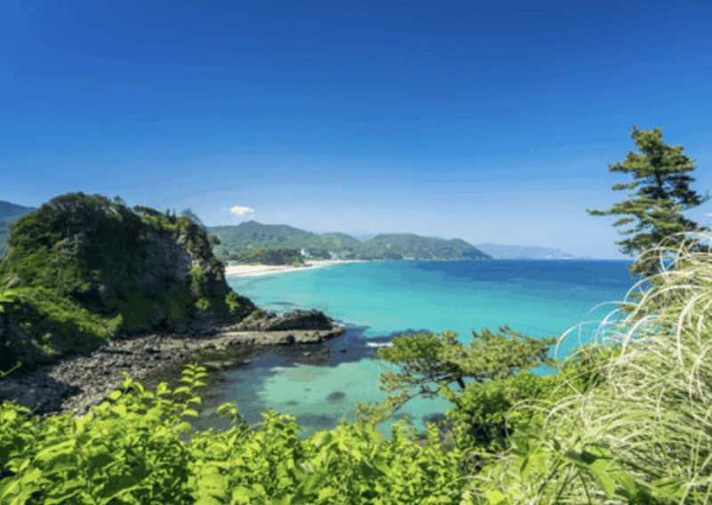 From Tokyo: Private Day Trip to Izu & Shimoda, Shizuoka - Highlights of the Tour