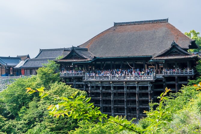From Tokyo to Kyoto and Nara: A Captivating Full-Day Private Tour - Transportation and Logistics