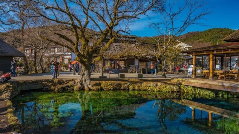 From Tokyo, Yokohama: Mount Fuji Sightseeing Trip - Transportation Details