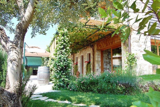 From Venice Wine and Food Tour Review - What to Expect