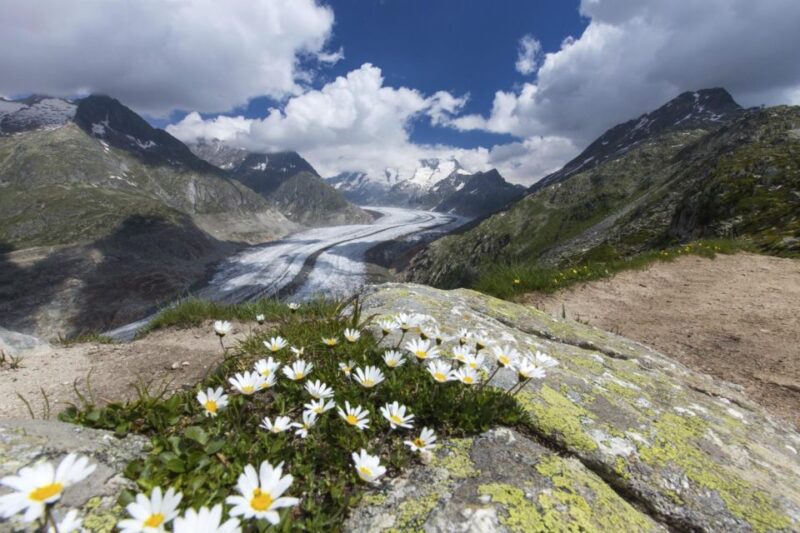 From Zurich: Jungfraujoch Guided Day Tour With Cogway Train - Jungfraujoch: Europes Highest Railway Station