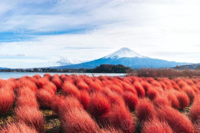 Fuji/Hakone Private Tour, English Speaking Guide, Photograph - Itinerary Highlights