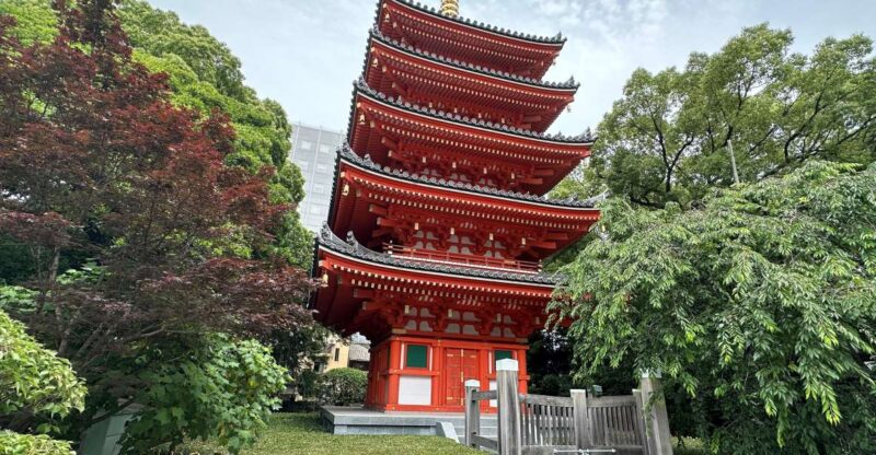 Fukuoka: Customized Private Tour - Booking and Cancellation Details