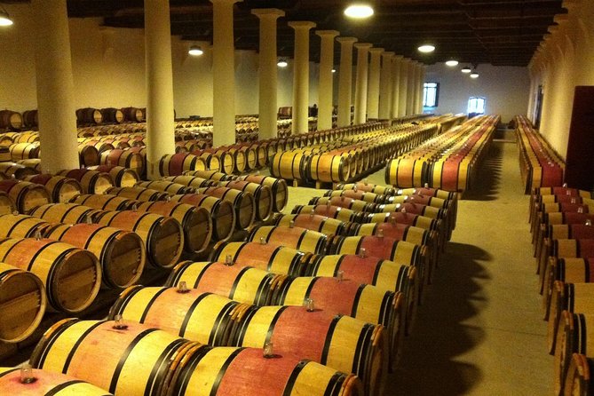 Full Day Bordeaux Historic Gourmet Walking and Médoc Tour - Afternoon Wine Tasting in Médoc