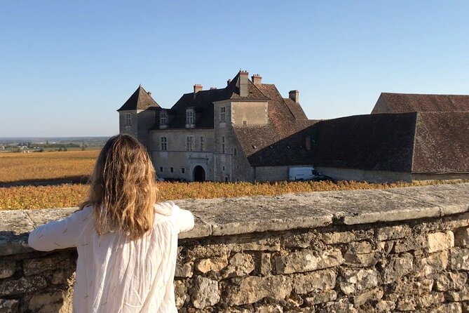 Full Day From Dijon: the Most of Burgundy With Lunch - Highlights of the Tasting Tour