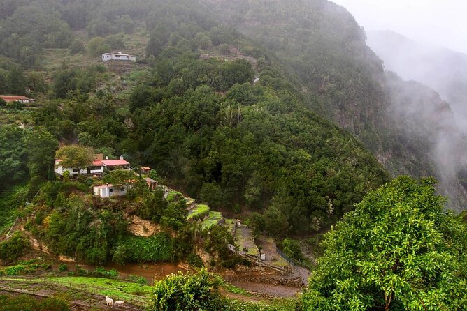 Full Day Guided Tour to La Gomera From Tenerife - Itinerary and Inclusions