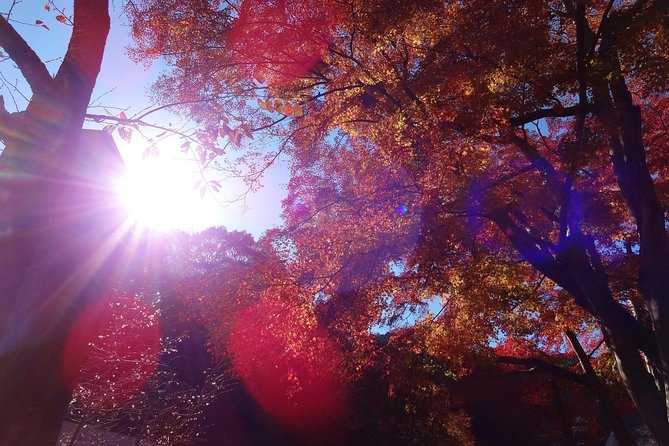 Full Day Hiking Tour at Mt.Takao Including Hot Spring - Important Information and Requirements