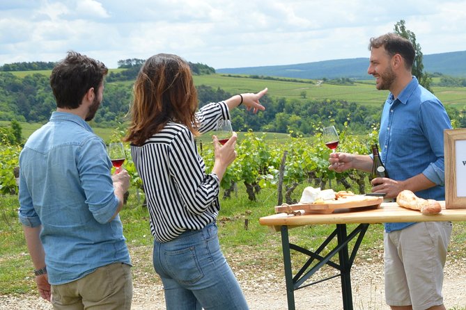 Full-Day North Burgundy and Chablis Tour Review - Inclusions and Logistics