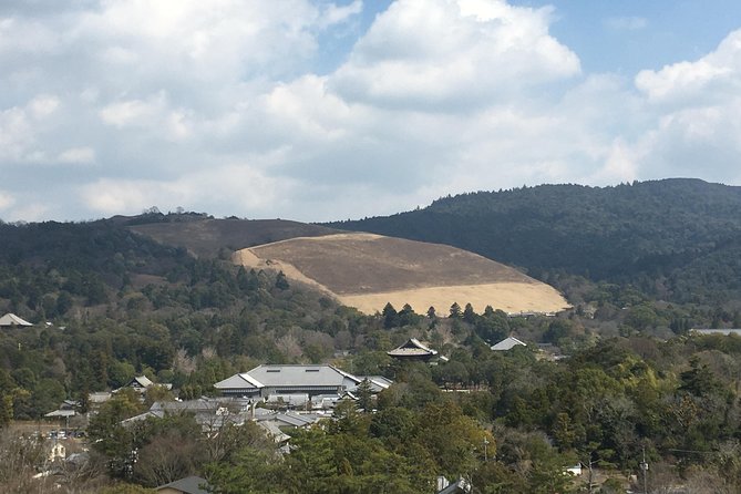 Full-Day Private Guided Tour to Nara Temples - Pickup and Timing