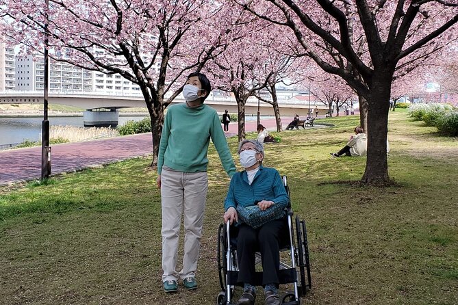 Full Day Private Tokyo Tour for Wheelchair Users - Accessibility