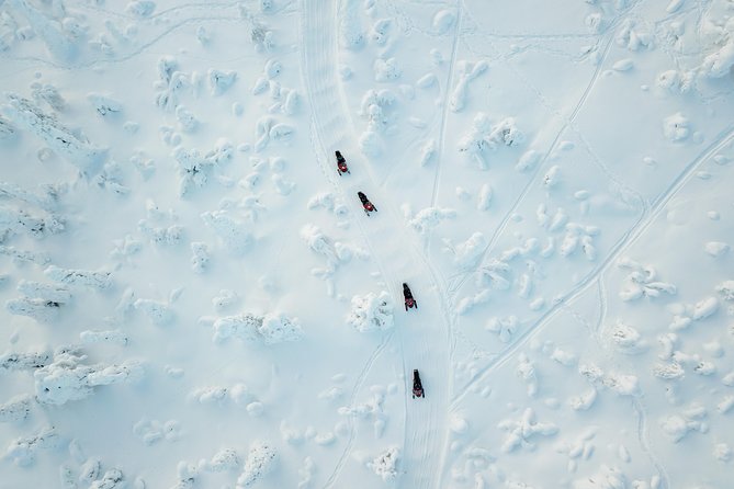 Full Day Snowmobile Safari Into the Lappish Wilderness in Rovaniemi - Exploring the Snowy Lappish Wilderness