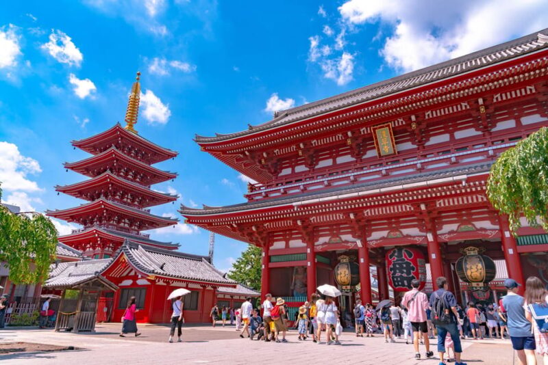 Full Day Tokyo Customize Unforgettable Private Tour - Immerse in Tsukiji Fish Markets Culinary Culture