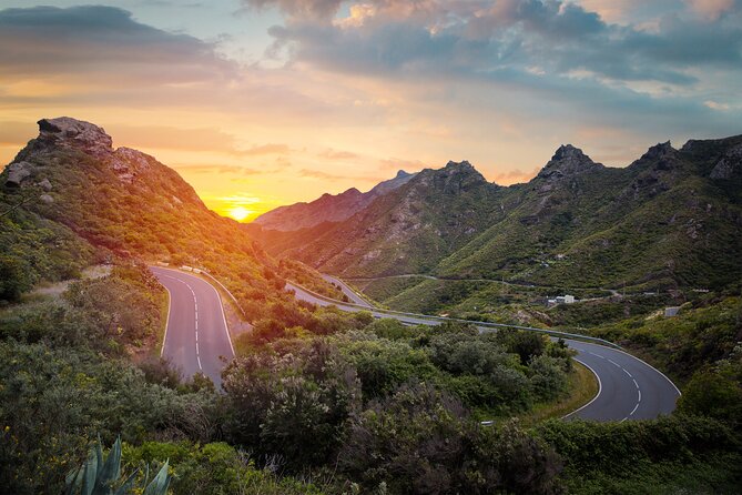 Full Day Tour With Certified Guide in Tenerife - Inclusions and Accessibility
