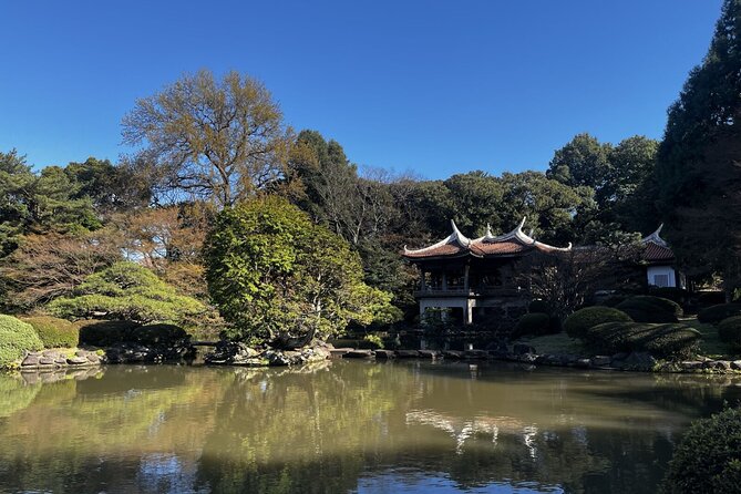 Full Day Walking Tour in Shinjuku and Shibuya - Inclusions