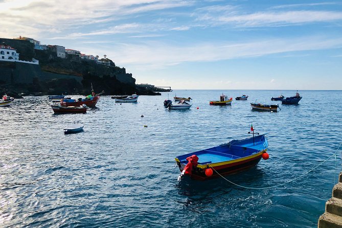 Funchal Private Vehicle Service With Driver for a Half Day or Full Day - Booking Details