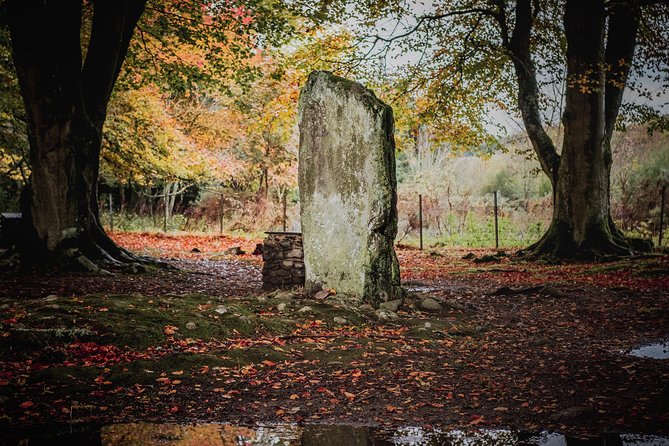 Glen Affric & Culloden Tour From Inverness Including Admissions - Transportation and Comfort