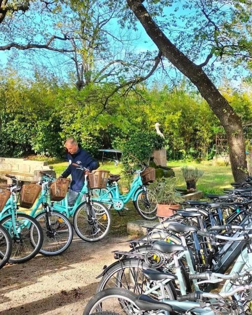 Gréoux-les-Bains: Bike Rental - Duration and Availability