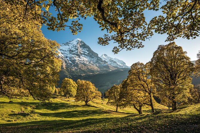 Grindelwald and Interlaken Independent Day Trip From Lucerne - Itinerary and Activities