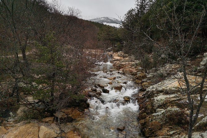 Guadarrama National Park From Madrid - Discovering Manzanares El Real Castle