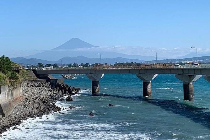 Guided Hybrid Bike Tour in Shizuoka City (Note: Not E-Bikes) - Whats Included